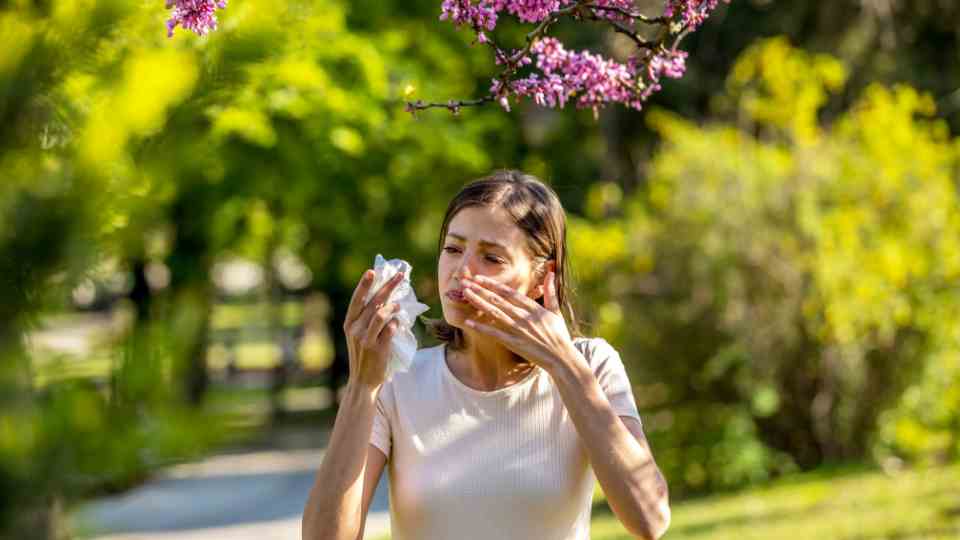 Nasal Spray and Eye Drops for Hay Fever - R.M.Jones Pharmacy